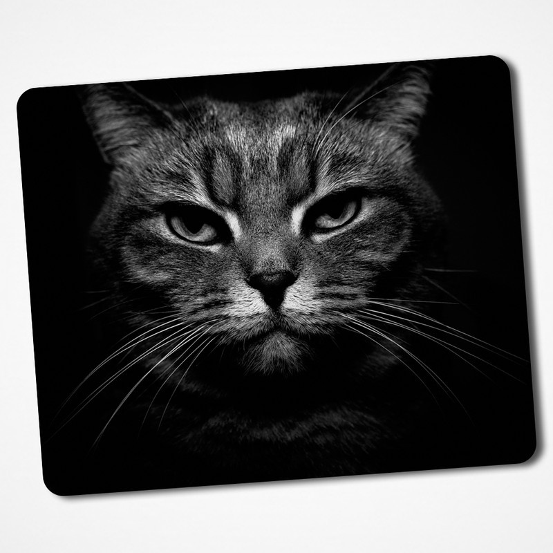 Mouse Pad Gato Gatinho Animal Paisagem M25 | Shopee Brasil