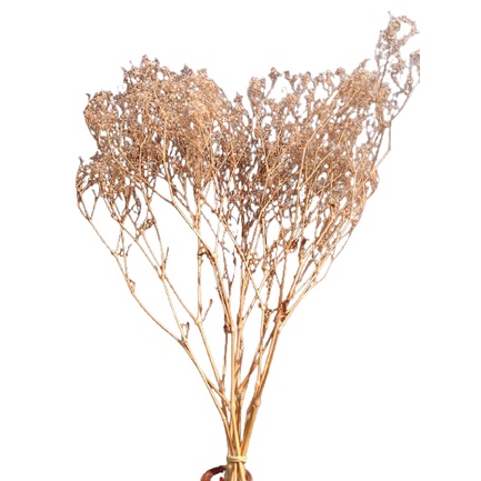 Mosquitinho Seco Gipsofila Natural Para Arranjos E Decoração | Shopee ...