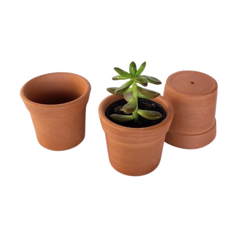 100 Mini Vasinhos Barro P/ Cactos E Suculentas 7 X 6,5 Cm | Shopee Brasil