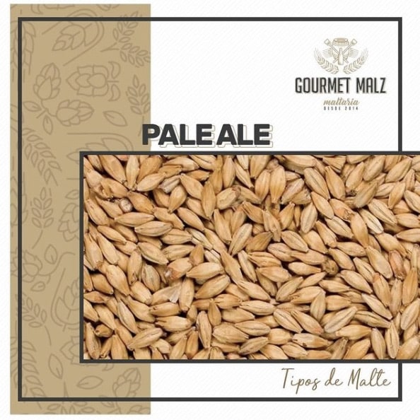 Malte Gourmet Malz Pale Ale - 1 Kg | Shopee Brasil