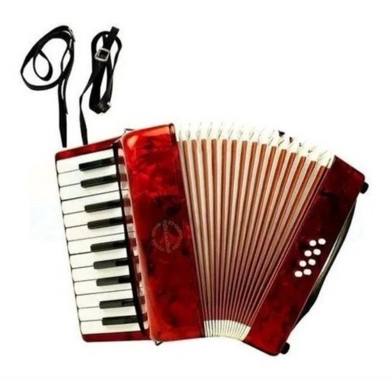 Sanfona ACORDEON 8 BAIXOS 22 TECLAS | Shopee Brasil