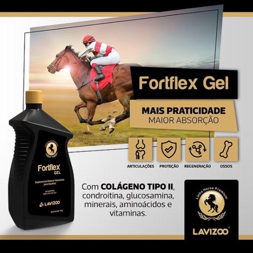 Fortflex Gel 1kg Suplemento Regenerador Articular Equinos | Shopee Brasil