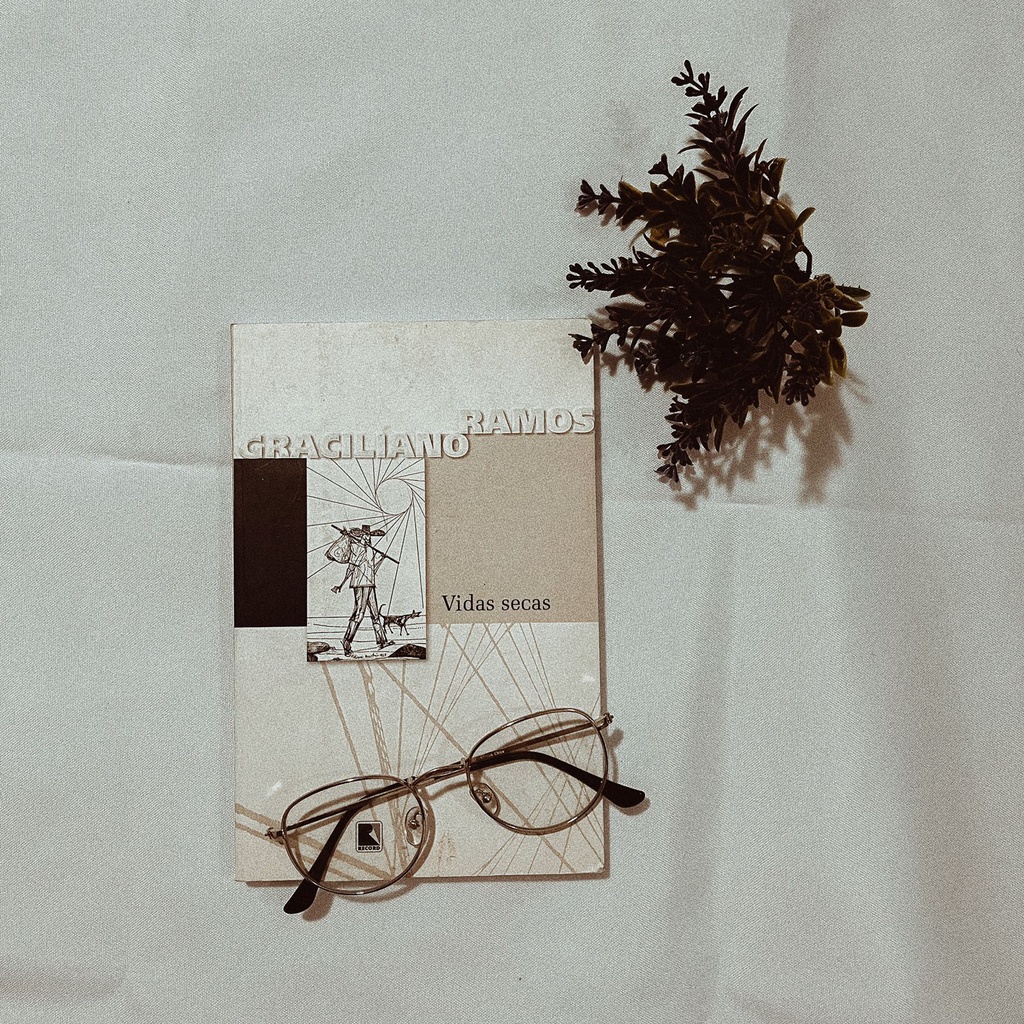 LIVRO VIDAS SECAS - GRACILIANO RAMOS (desapego) | Shopee Brasil
