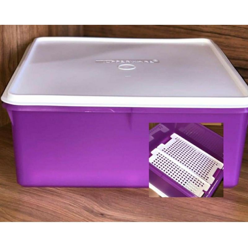 Tupperware Super Caixa 10 Litros Com 02 Grades Cores Variadas - Unidade ...