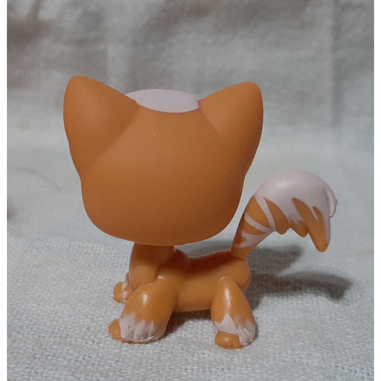 LPS #511 Littlest Pet Shop Orange Cat Swirl Angora | Shopee Brasil