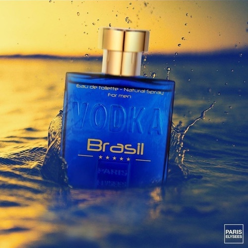 Vodka Brasil Azul Paris Elysees | Shopee Brasil