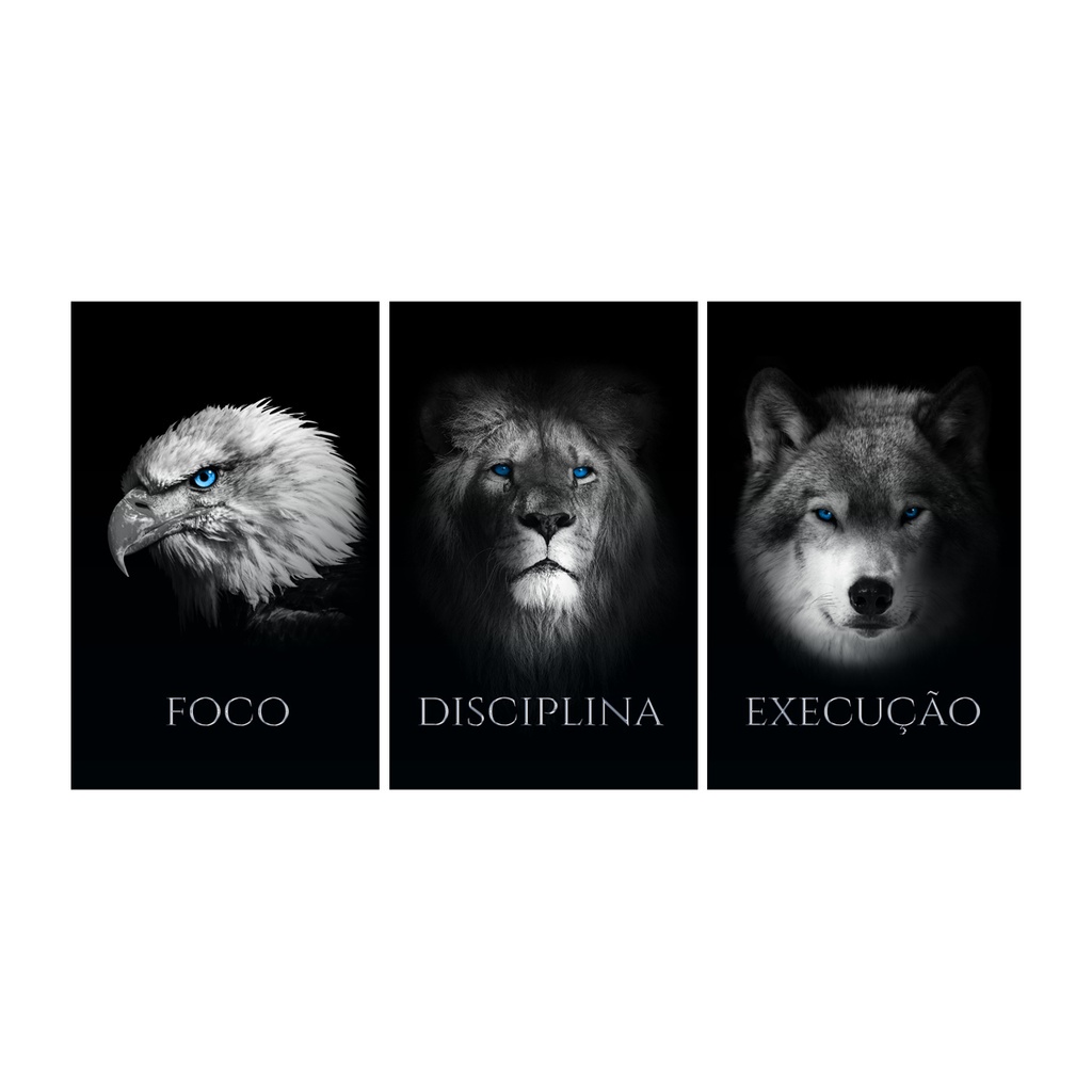 Quadros decorativos motivacionais foco disciplina execução para ...