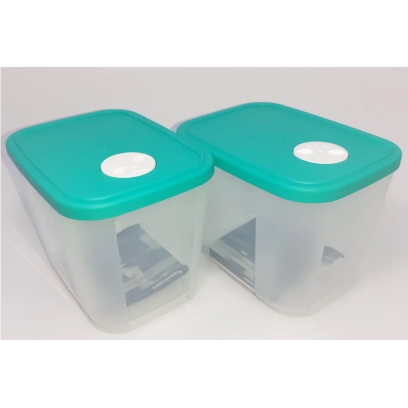 Tupperware Freezertime 1 litro Transparente tampa Verde | Shopee Brasil