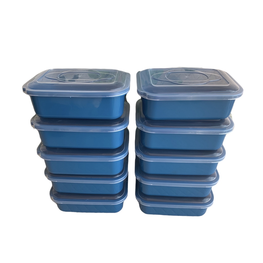 Jogo 10 Vasilhas de 800ml de plástico retangulares com tampa ...