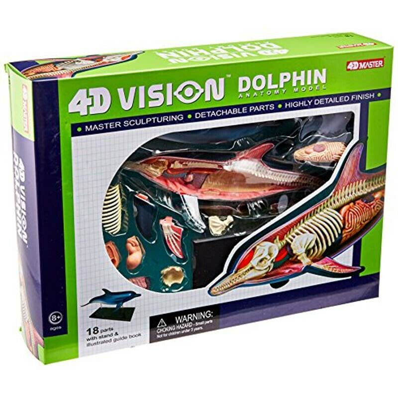 Dolphin Anatomy Model 4D Vision Modelo de Anatomia p/ Ensino - Golfinho 4D Master | Shopee Brasil