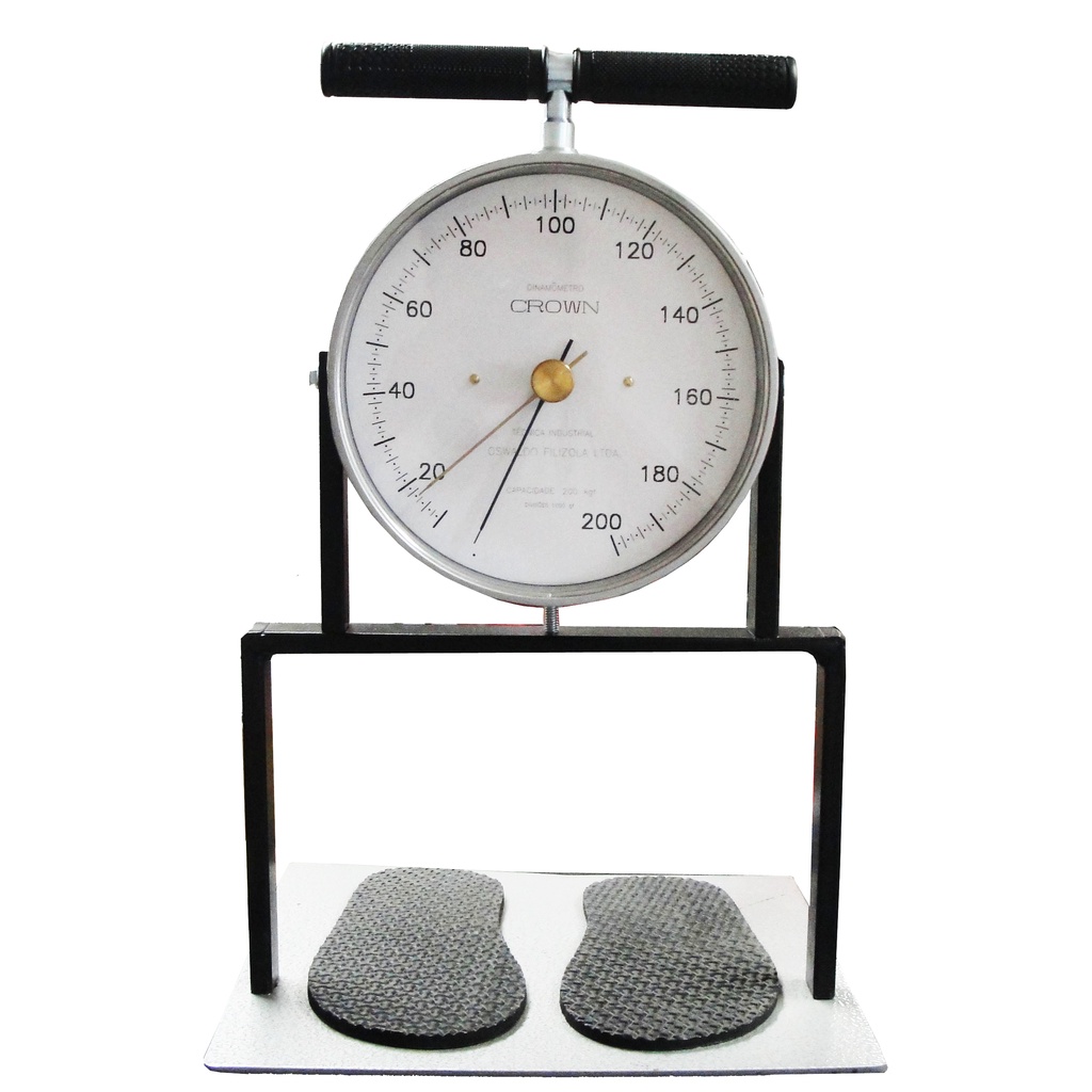 Dinamometro Dorsal Faixa de 1 a 200 KG Divisão 1 Kg Avaliação Física ...