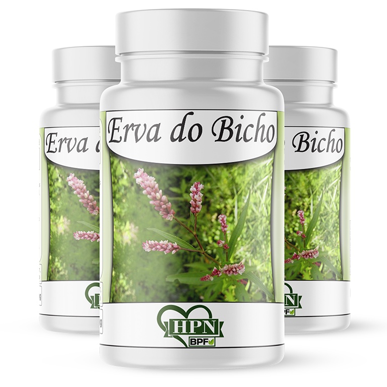 Erva de Bicho (Polygonum persicaria) Planta Medicinal 180 Cápsulas ...