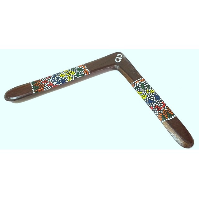 Bumerangue Tradicional Profissional Plano Frog Madeira. | Shopee Brasil