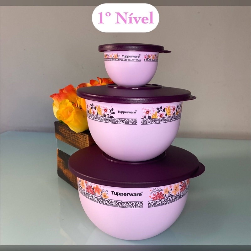 Tupperware Pda/Bea Tigelas Muranos Púrpura Real | Shopee Brasil
