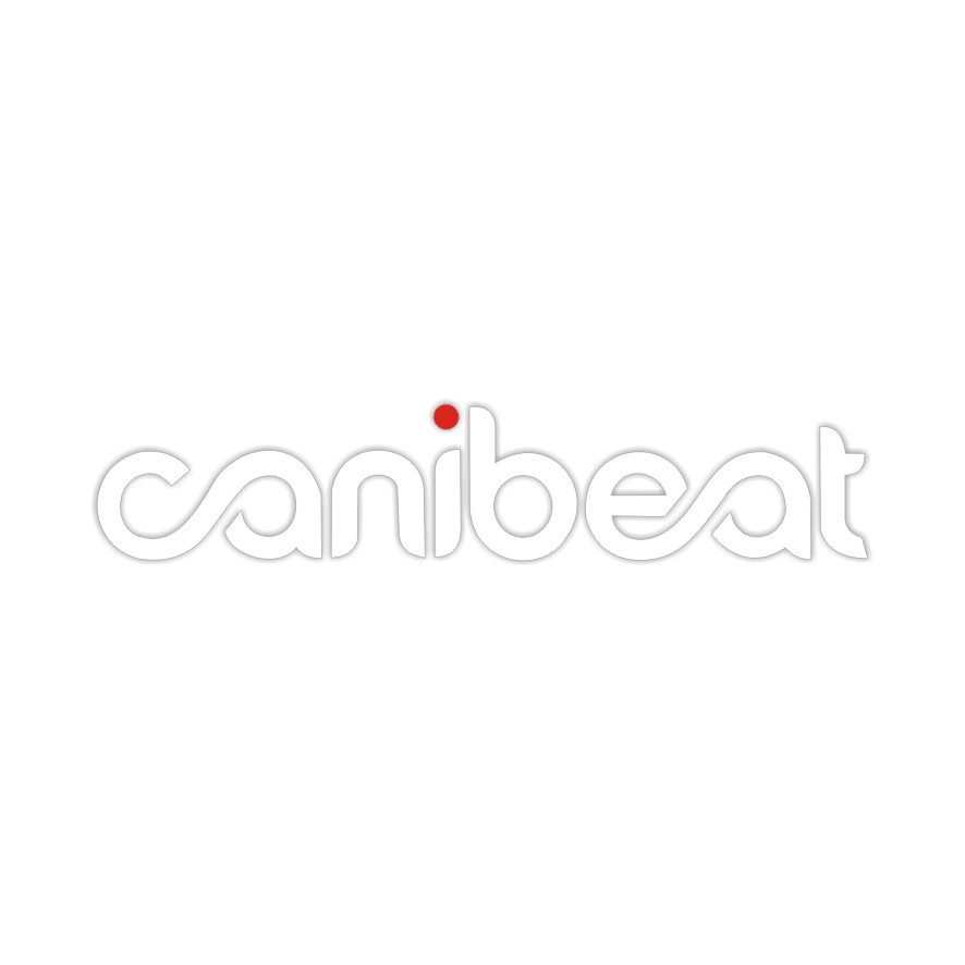 Adesivo Canibeat Adesivo Alpine Stars