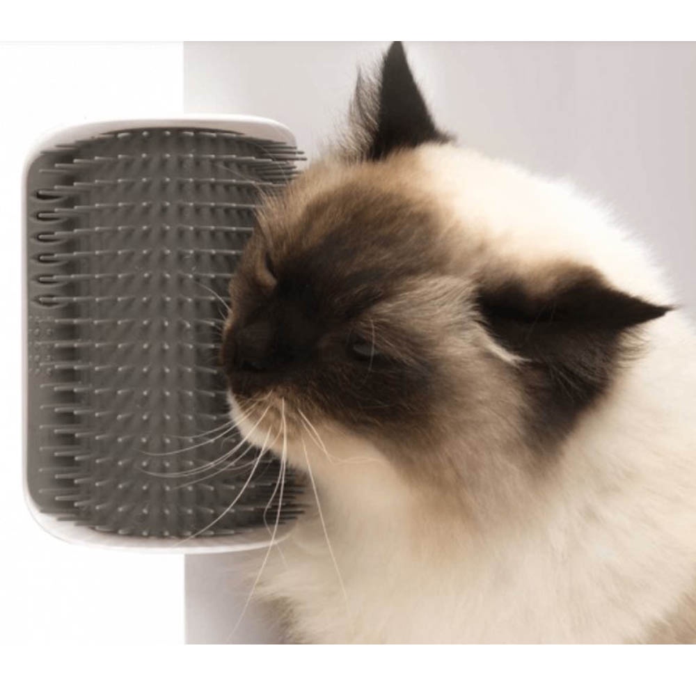 Escova Massageadora Para Gato Se Esfregar Na parede | Shopee Brasil Escova Massageadora Para Gato Se Esfregar Na parede | Shopee Brasil