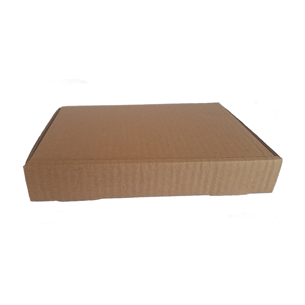 Caixa De Papelão Tipo Sedex - 24x16x4 cm (Medida Interna) - Kit com 100 ...