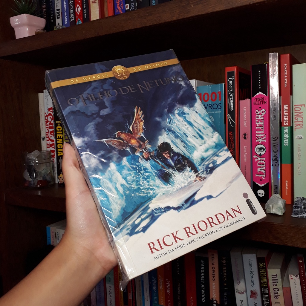 O filho de Netuno - Os heróis do Olimpo #2 (Rick Riordan) - Sebo, livro novo, desapego literário ...