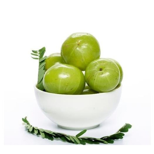 Groselha Indiana Fruta Amla 10 Sementes Phyllanthus Emblica | Shopee Brasil