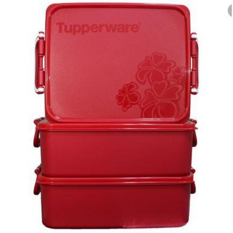 Linha Pure Kimchi Keeper Importada TUPPERWARE | Shopee Brasil