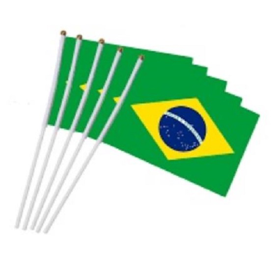Kit 50 peças Mini bandeiras de mão Bandeira Brasil 14 X 21 cm | Shopee ...