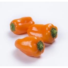 Mini Pimentao Kalu Hibrido F1 - 22mg = 5 Sementes | Shopee Brasil