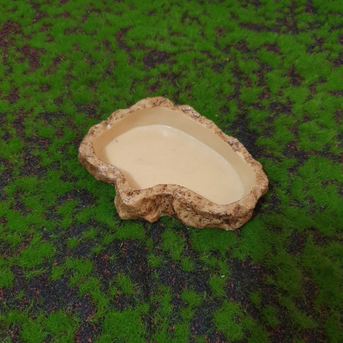 Cr 012, Comedouro Pequeno Réptil Jabuti Tartaruga Reptmania | Shopee Brasil