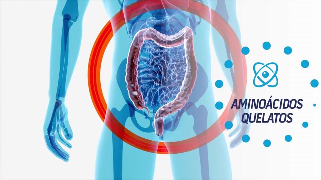 Cognon 1000mg - Foco e Concentração - 60 Cáps. Massime | Shopee Brasil