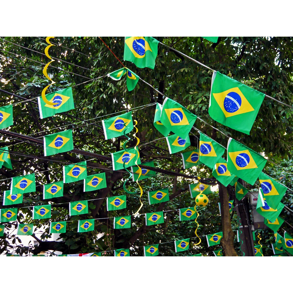 Bandeirinha do Brasil - 5 metros - Copa do Mundo | Shopee Brasil