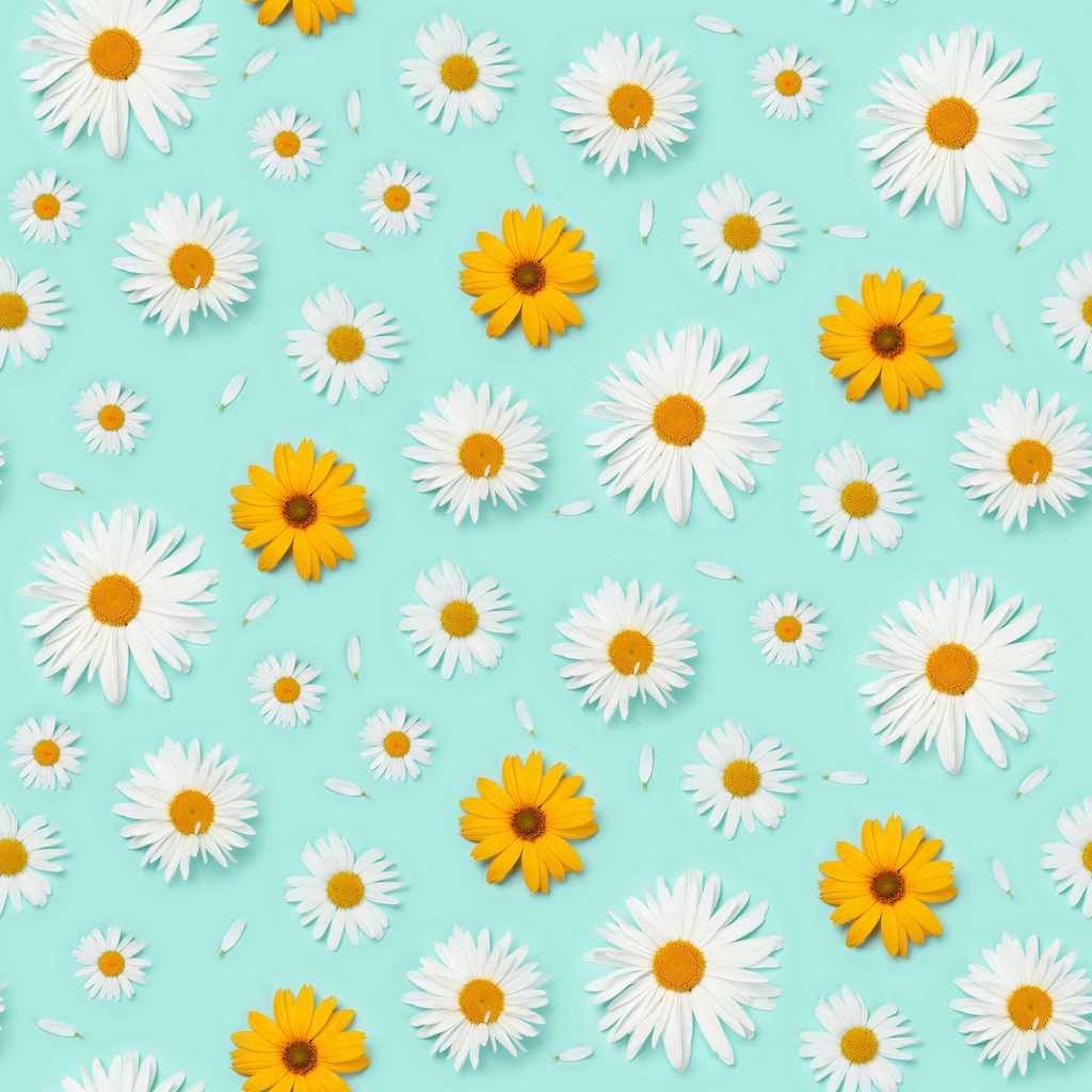 Papel De Parede Lavável Girassol Margarida Azul Bebe Quarto Sala ...
