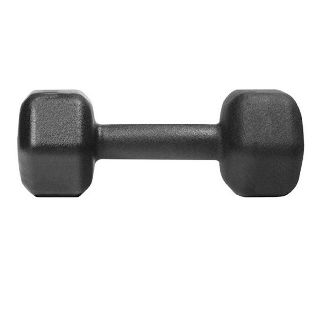 Peso Halter Dumbell Pintado 20kg Fundidos de Minas - Preto | Shopee Brasil