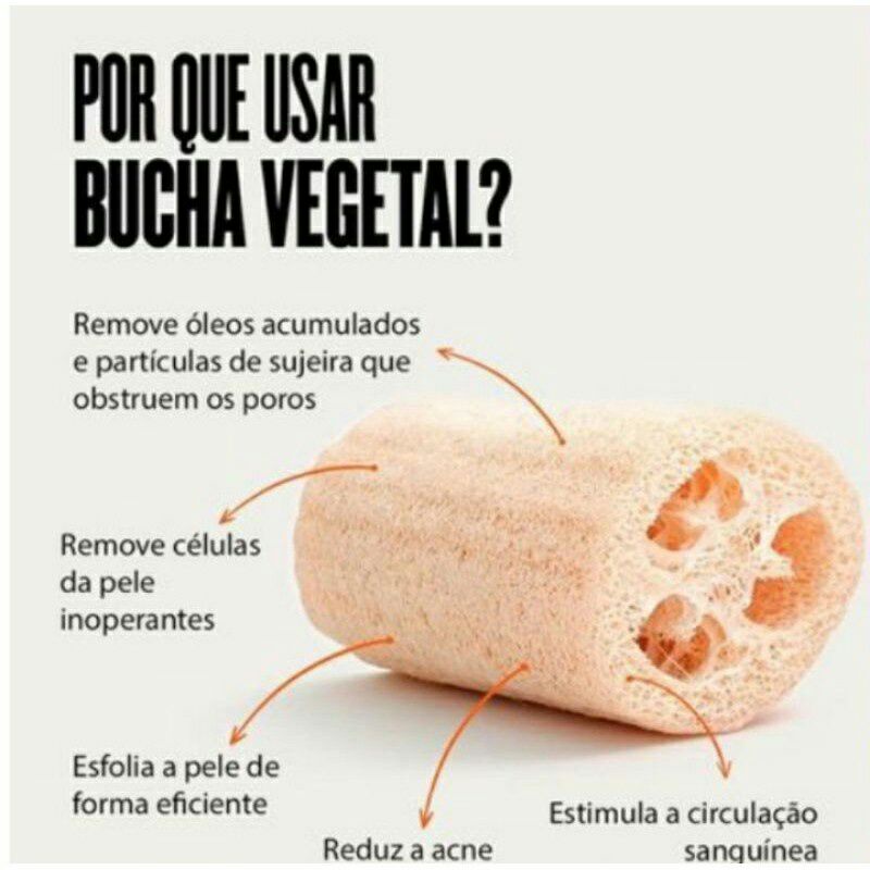 Bucha Vegetal GRANDE DE 20 CM - Massageadora Biodegradável Natural ...
