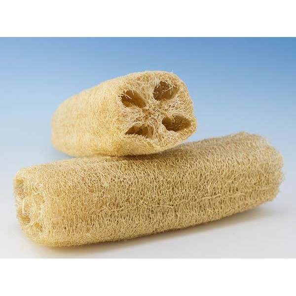 Bucha Vegetal 100% natural Bucha de banho 15 cm Kit 2 unidades | Shopee ...