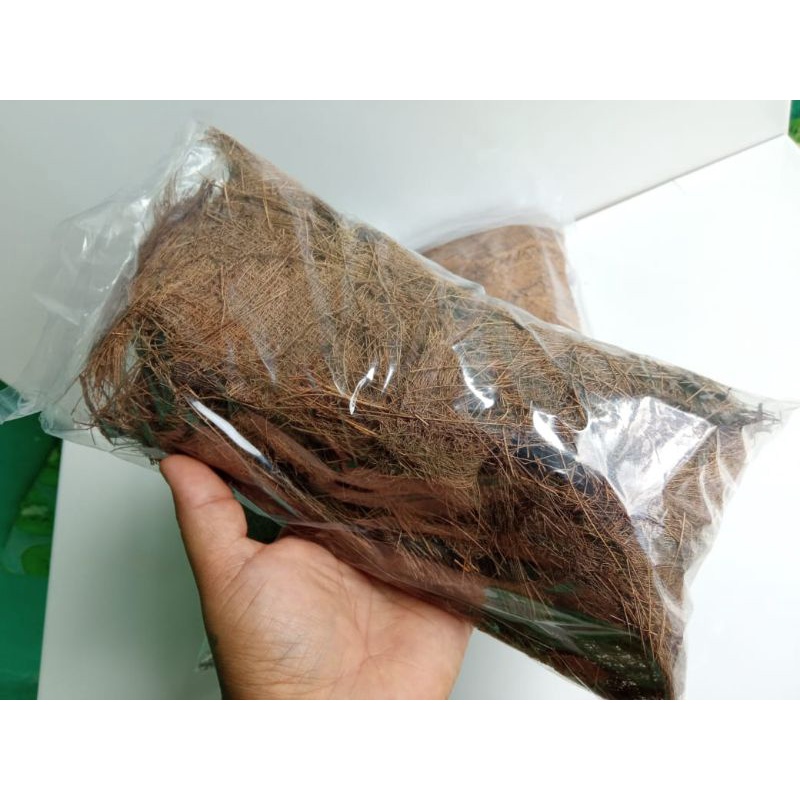 Bucha de coco | Shopee Brasil