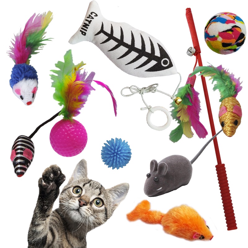Kit 10 Mini Brinquedos Gatos Recreacao | Shopee Brasil