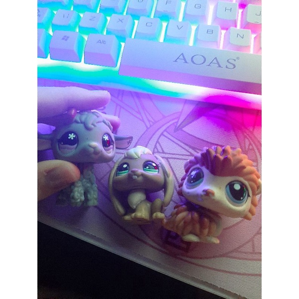 lps lote | Shopee Brasil