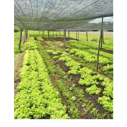 Tela Mini Horta Tela Sombrite 50% 2x2 Bainha/ilhos | Shopee Brasil