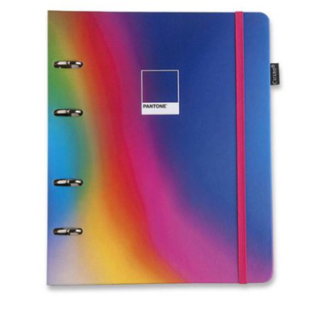 Caderno Criativo Argolado Pantone Pautado DEGRADÊ NEON 17 X 24 - Para ...