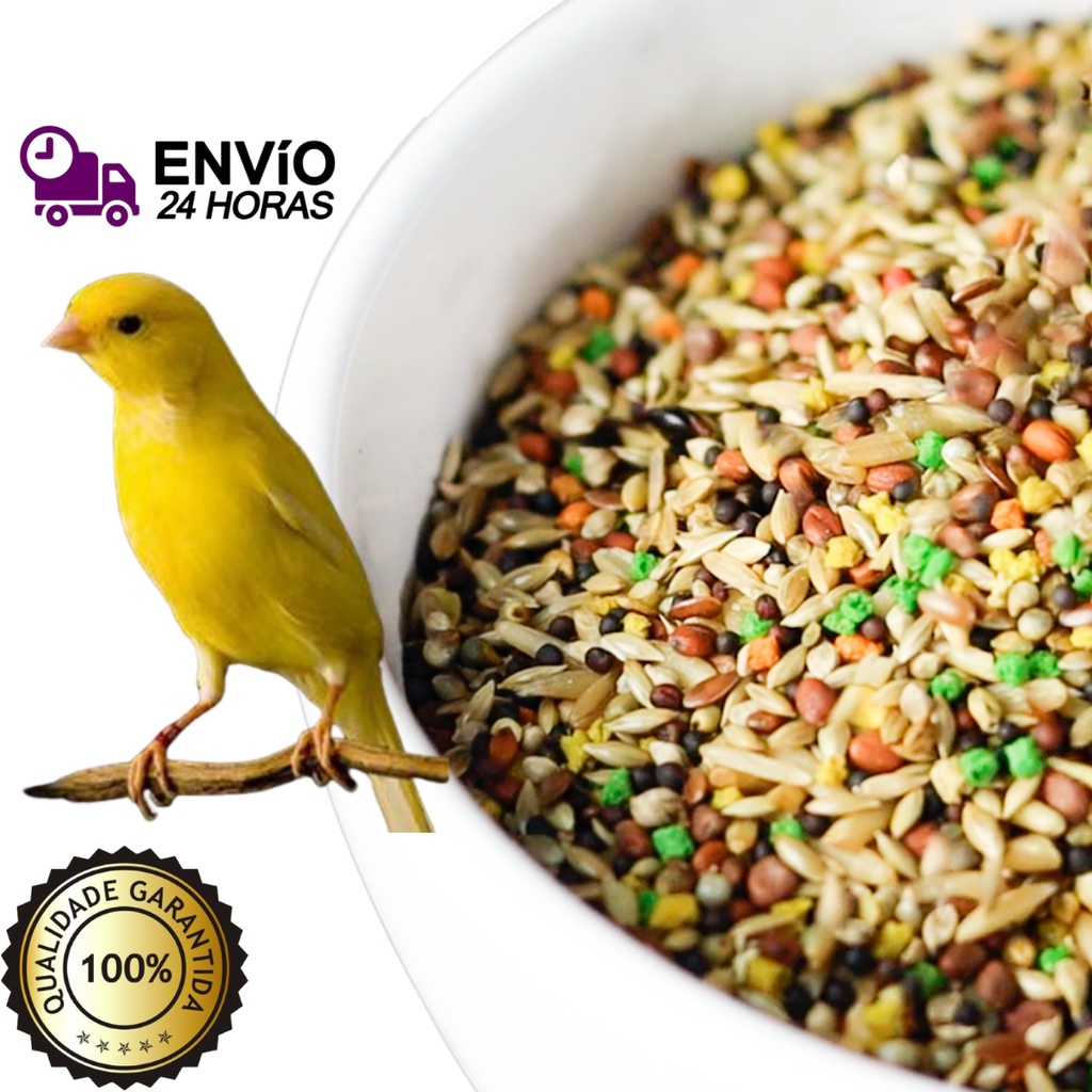 Canário Mistura Completa Sementes Selecionadas Canario Belga ...
