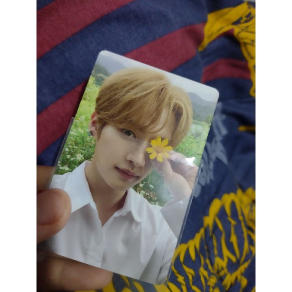 LEE KNOW CARD LIMITED NOEASY - STRAY KIDS OFICIAL | Shopee Brasil