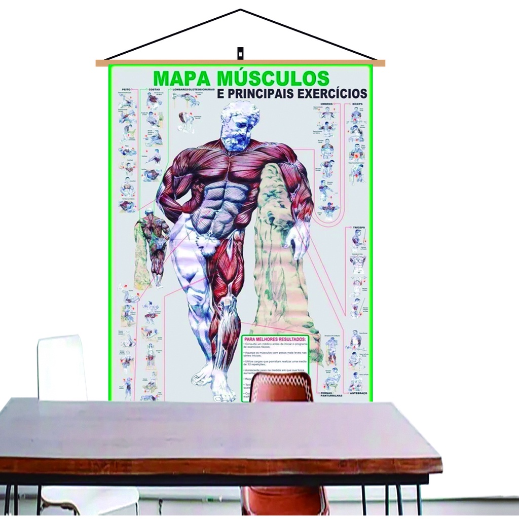 Mapa Músculo Exercício Academia Banner Laminado 120x90cm - Atual | Shopee Brasil