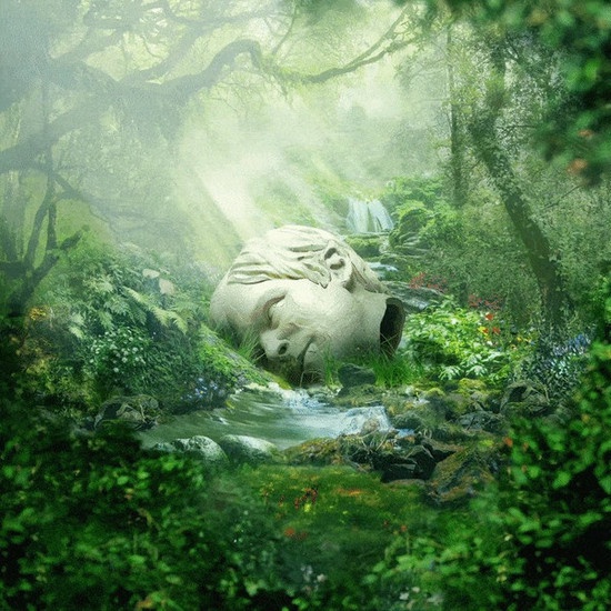 Cd Weezer - Sznz: Spring (novo/lacrado) | Shopee Brasil