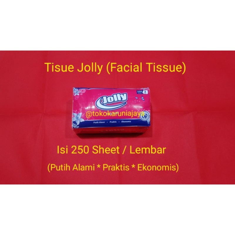 Tecido Facial (Tissue) Marca Jolly-Preencher 250 Folhas | Shopee Brasil