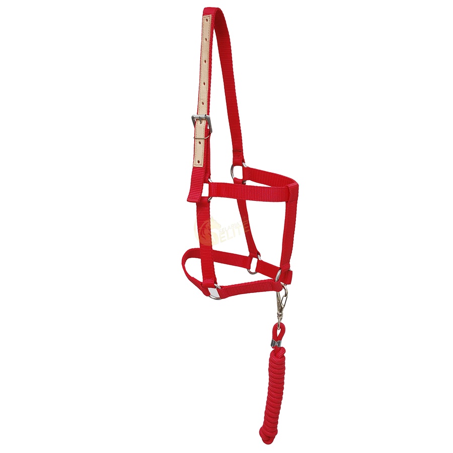 Cabresto Personalizado Com Guia de 3 metros | Shopee Brasil