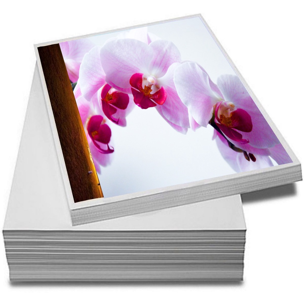 Papel Fotográfico A4 Glossy 230g 10 Folhas Premium | Shopee Brasil