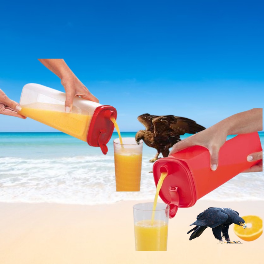 Tupper Slim 2 litros Transparente tampa Vermelha Tupperware | Shopee Brasil