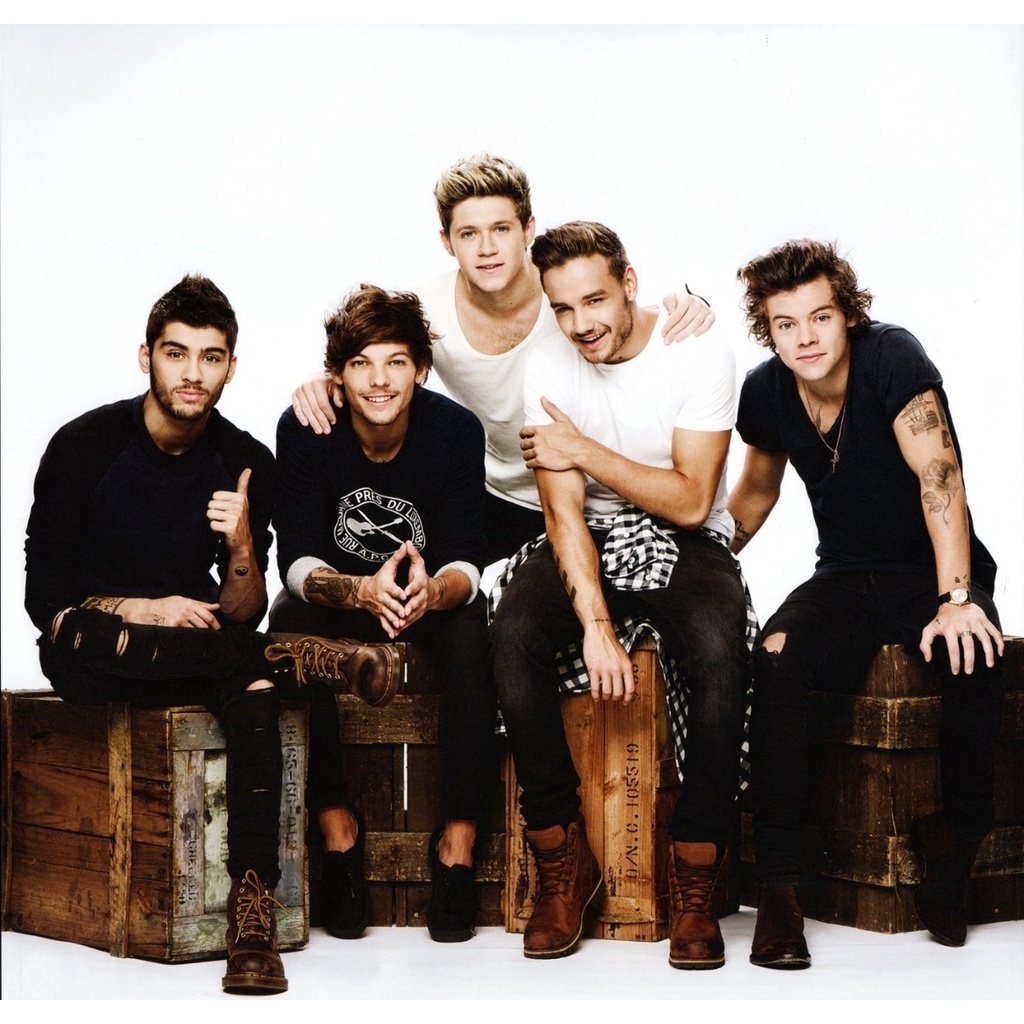 Banner Em Tecido Oxford One Direction 1x1,45m | Shopee Brasil