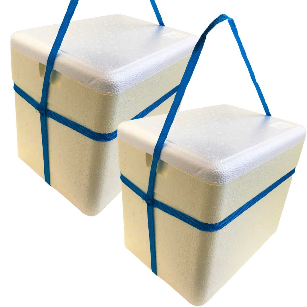 Kit - 2 Caixa Isopor Térmica Capacidade 8 Litros Com Alça EPSBOX ...