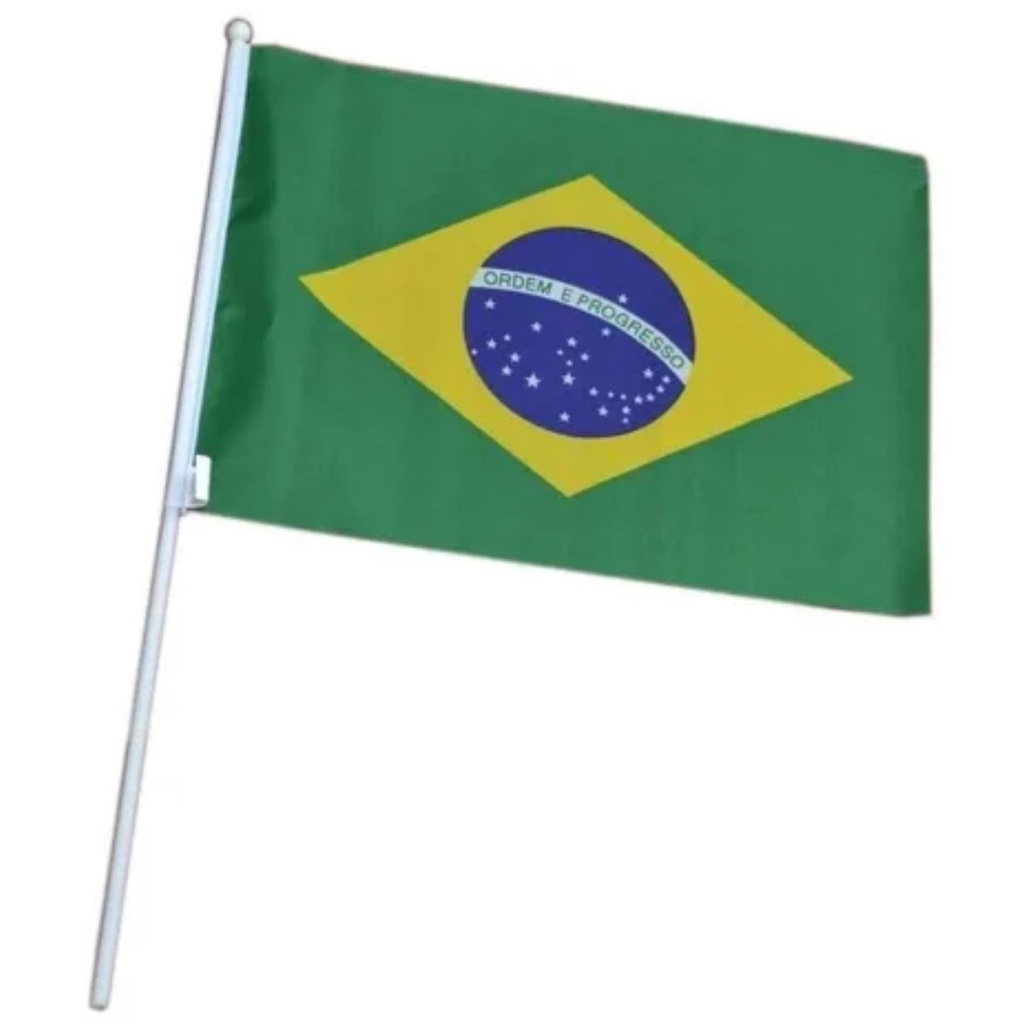 Bandeira Brasil Pequena 14x19 Cm Com Haste - Classe | Shopee Brasil