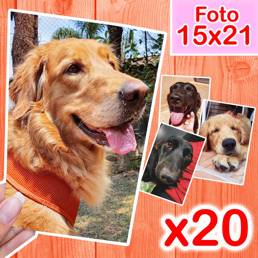 Revelar Fotos 15x21 (20 Unidades) | Shopee Brasil
